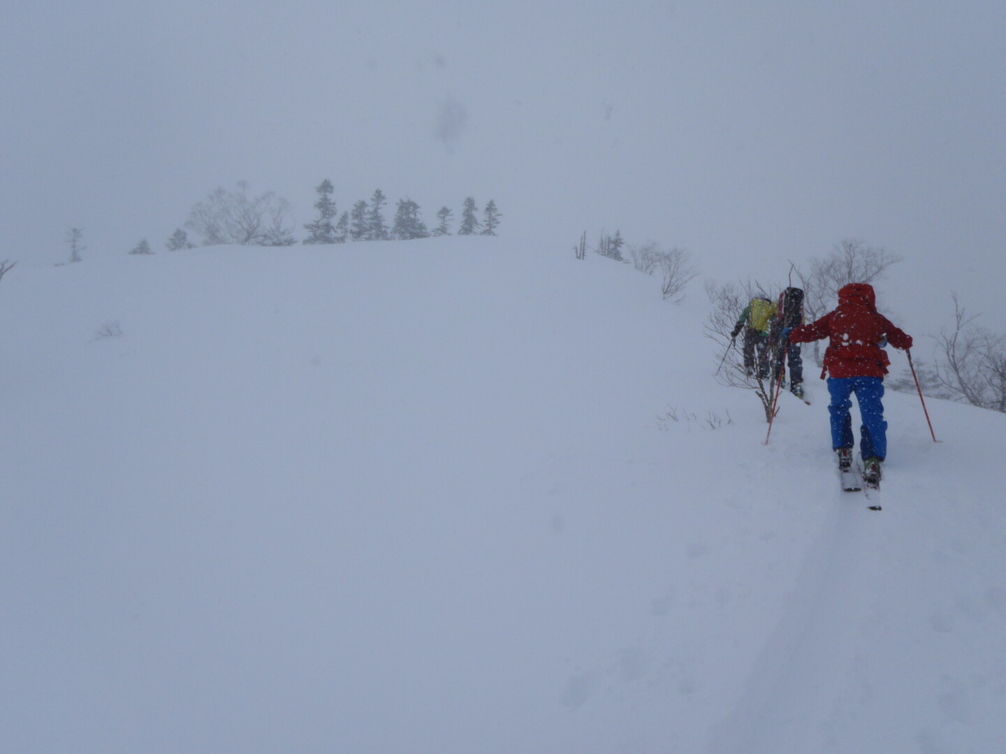 山スキー【戸隠・五地蔵山(2/12)】大橋～戸隠牧場～弥勒尾根～五地蔵山（1,988m）往復 / ふみごろうさんの高妻山・戸隠山の活動データ | YAMAP / ヤマップ