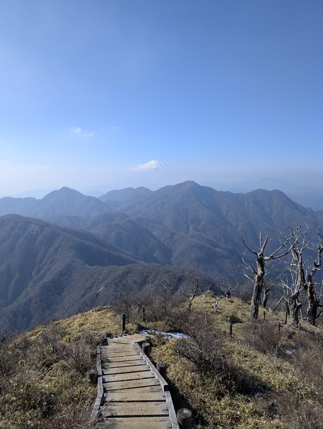 風巻尾根から蛭ヶ岳・檜洞丸周回 / jjさんの塔ノ岳・丹沢山・蛭ヶ岳の活動データ | YAMAP / ヤマップ