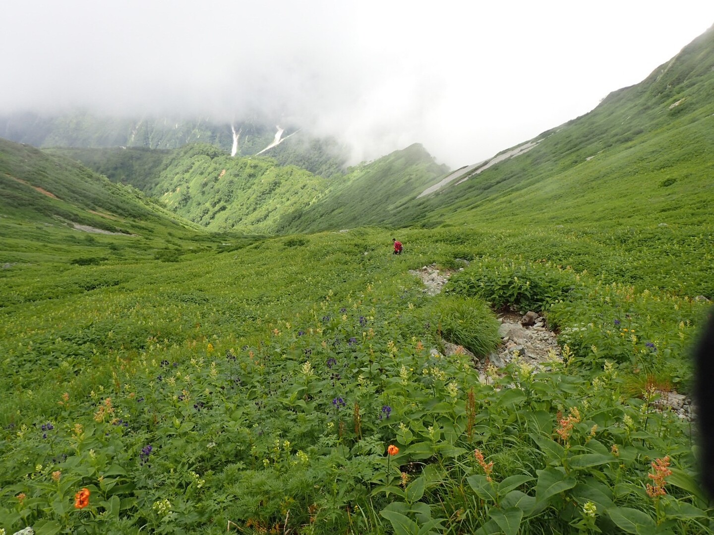 2022.08.03(水) 13:27 / ryo.ikdさんのモーメント | YAMAP / ヤマップ