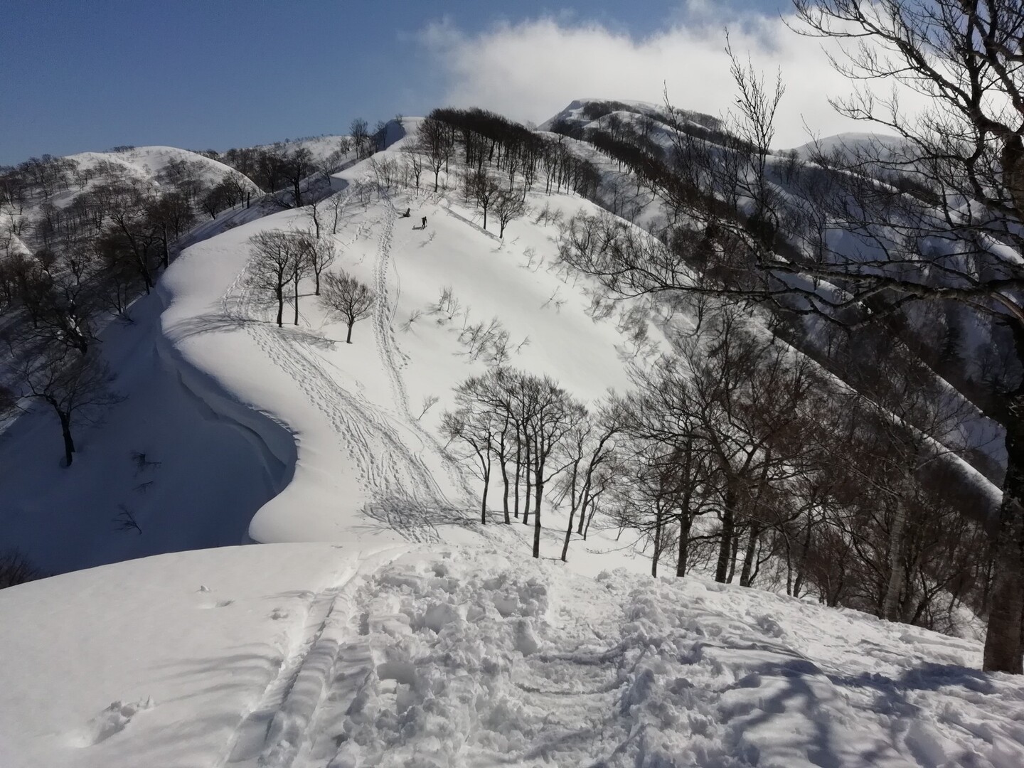 片折岳・前金剛・中金剛 / yamanobu さんの金剛堂山の活動データ | YAMAP / ヤマップ