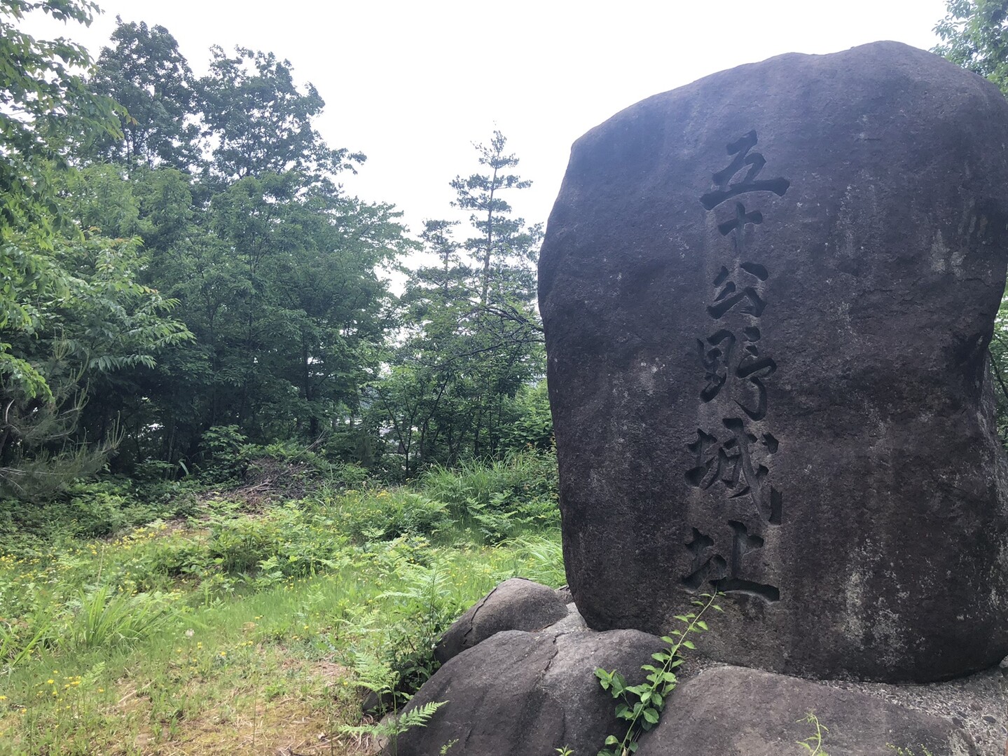 JJさんの投稿したフィールドメモ | YAMAP / ヤマップ