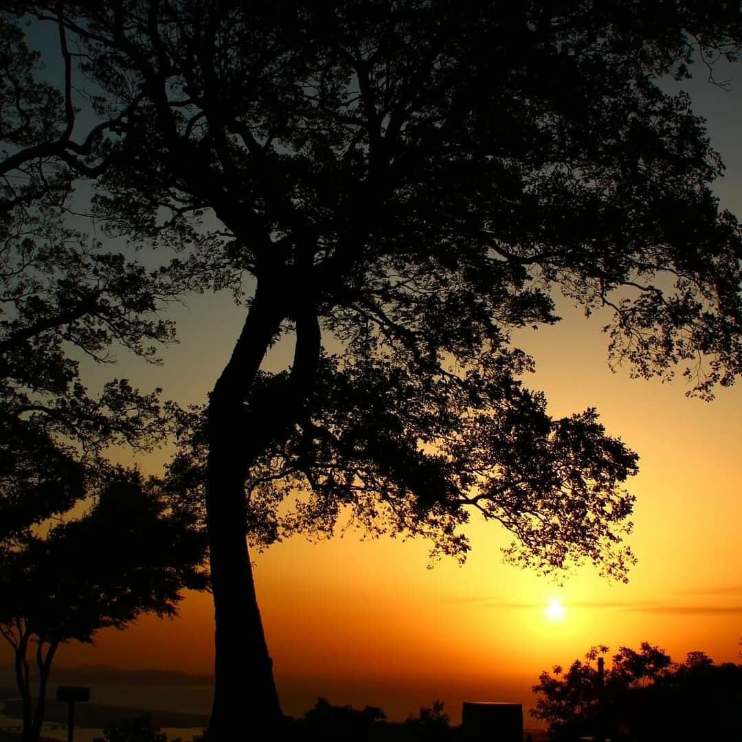 昨日だけど・・・ GW最後の日？ お仕... / Chi-chanさんのモーメント | YAMAP / ヤマップ