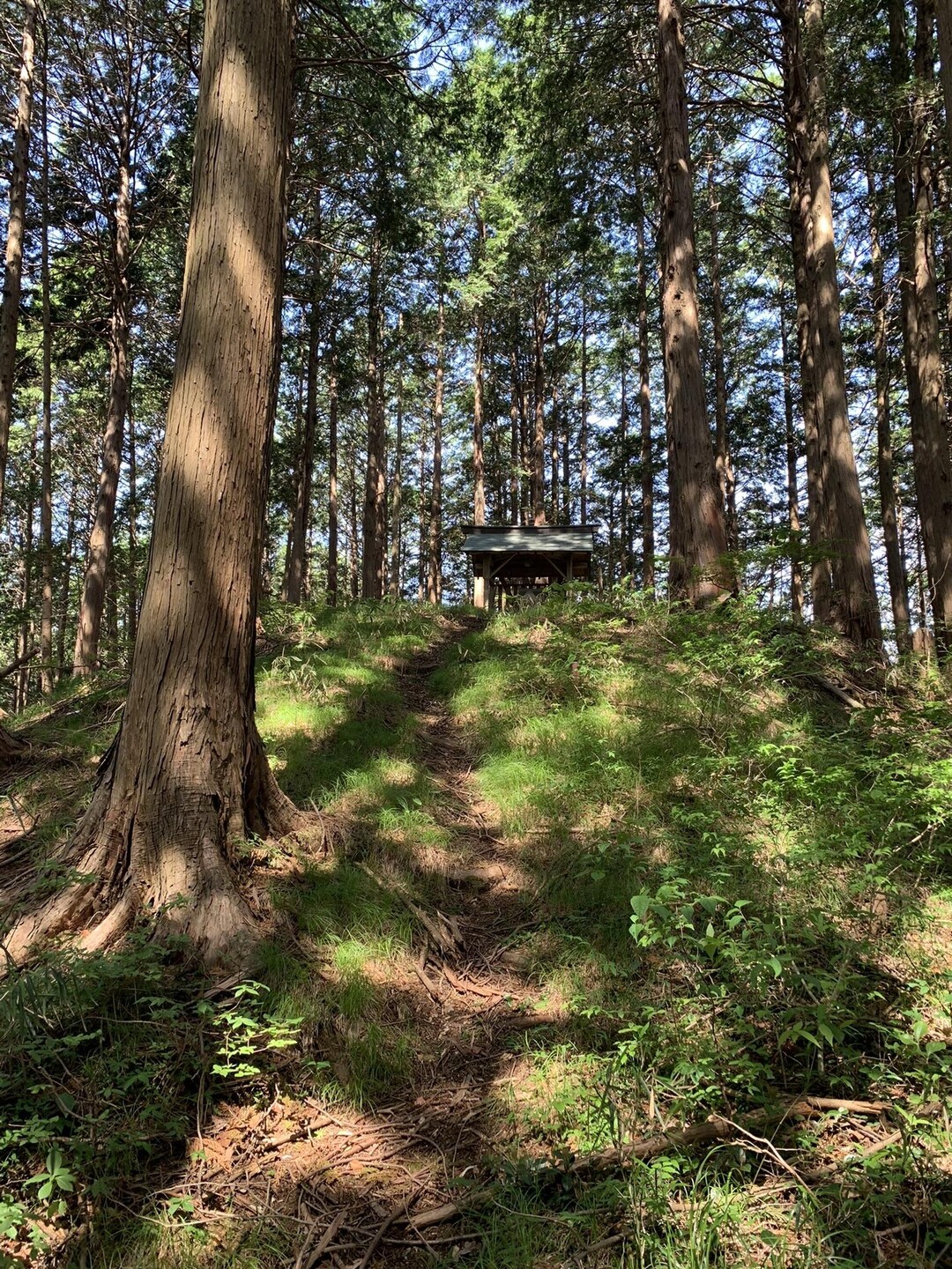 石尊山 / Kuniさんの石尊山の活動データ | YAMAP / ヤマップ