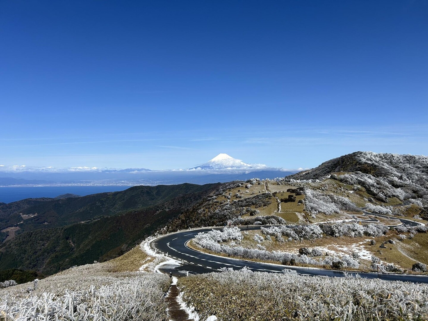 小達磨山・達磨山 / ritocotoさんの金冠山・達磨山・葛城山の活動データ | YAMAP / ヤマップ