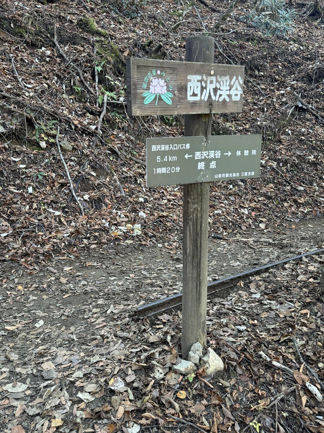 西沢渓谷-2024-11-09 / ORI-chanさんの登山の活動データ | YAMAP / ヤマップ