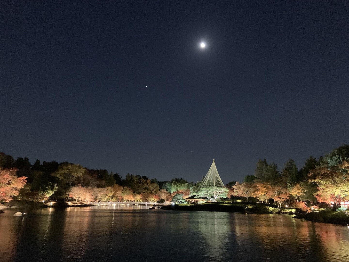 昭和記念公園ライトアップ（11月26日ま... / akkoさんのモーメント | YAMAP / ヤマップ