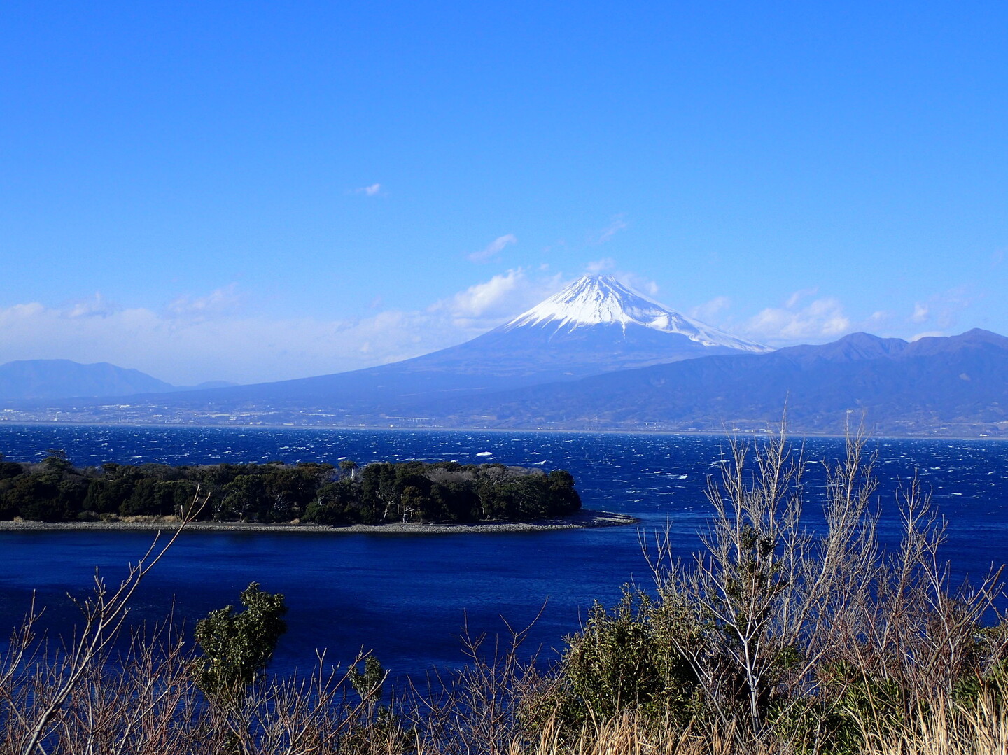 強風の達磨山とオマケで戸田温泉＆大瀬崎 / ankamoさんの金冠山・達磨山・葛城山の活動データ | YAMAP / ヤマップ