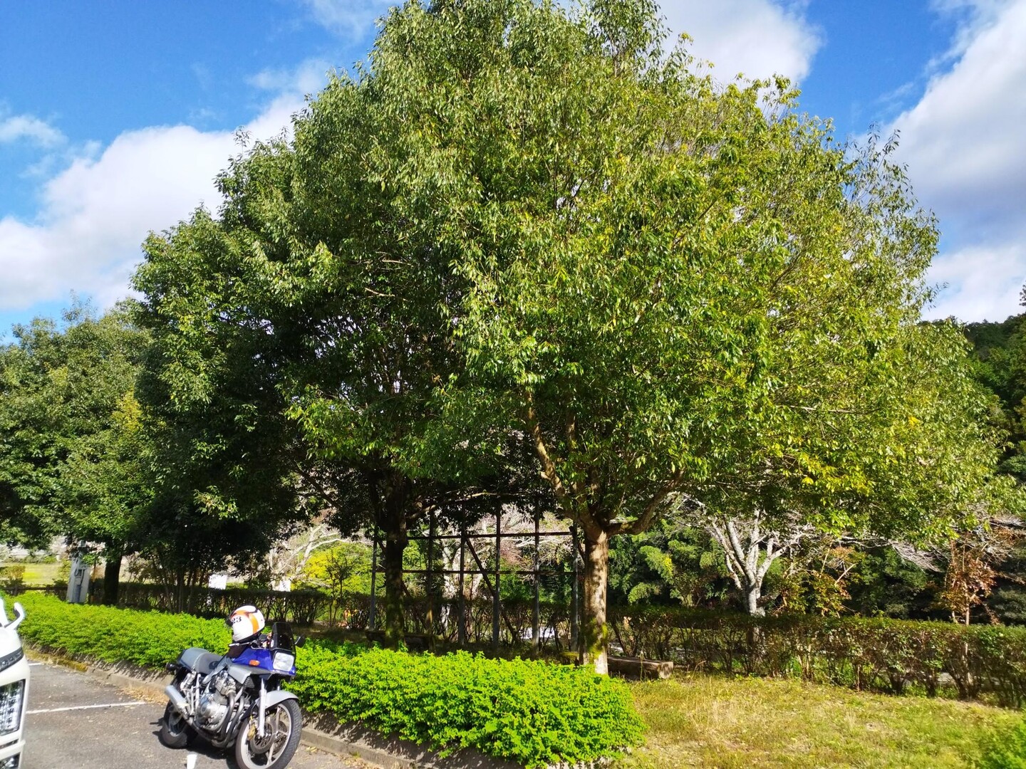 ちょっと道の駅で休憩。何気なくそばにある... / masaさんのモーメント | YAMAP / ヤマップ