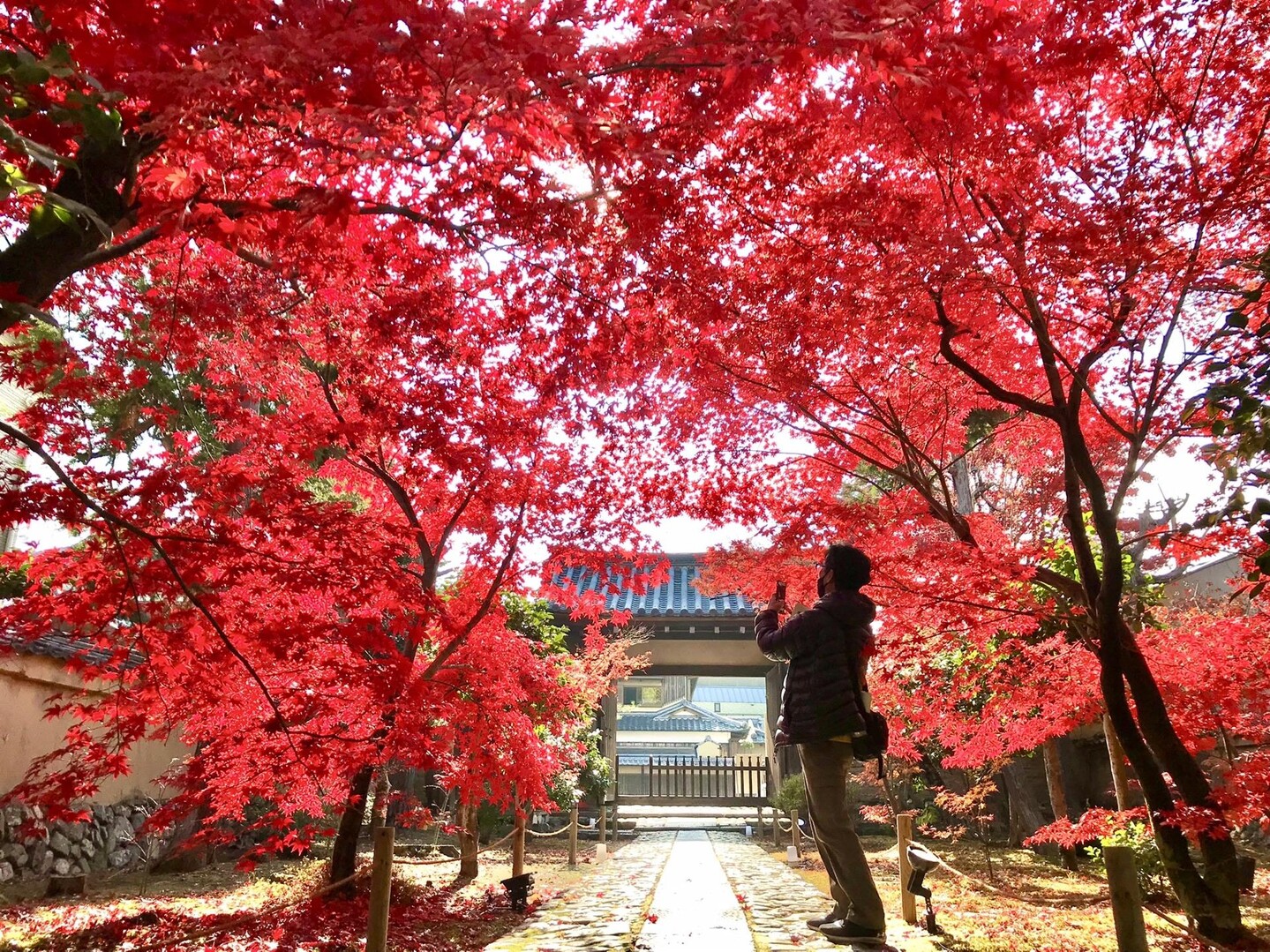 京都：松尾山〜嵐山〜京都🍁散策 / Kazu.Muさんの沓掛山・みすぎ山・唐櫃越の活動データ | YAMAP / ヤマップ