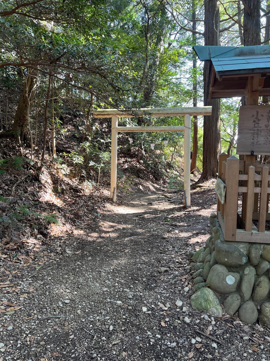 小笠山 / sigeさんの小笠山の活動データ | YAMAP / ヤマップ