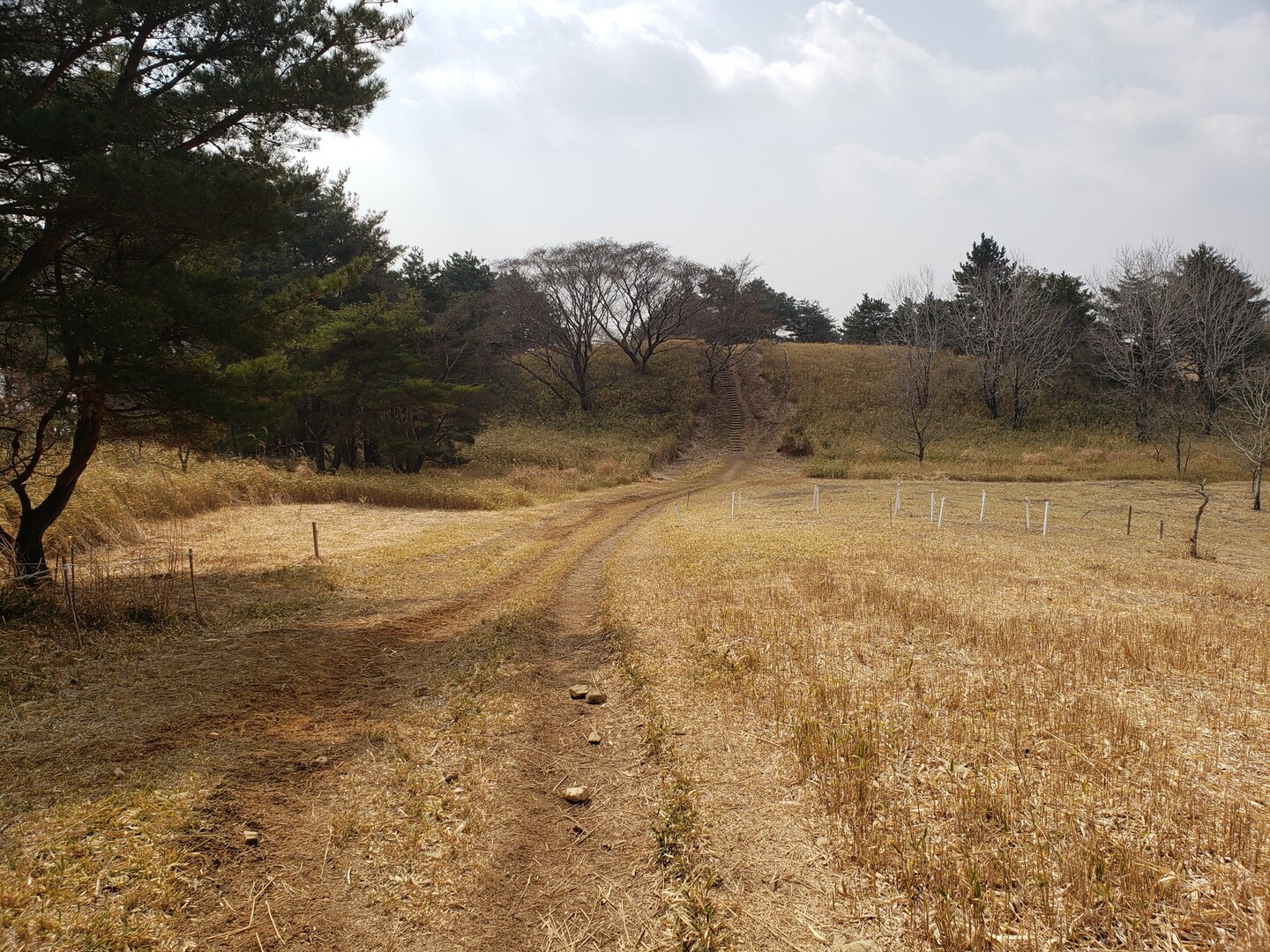 六甲山～軽めにトレラン / mukoyamano mineさんの六甲山・長峰山・摩耶山の活動データ | YAMAP / ヤマップ
