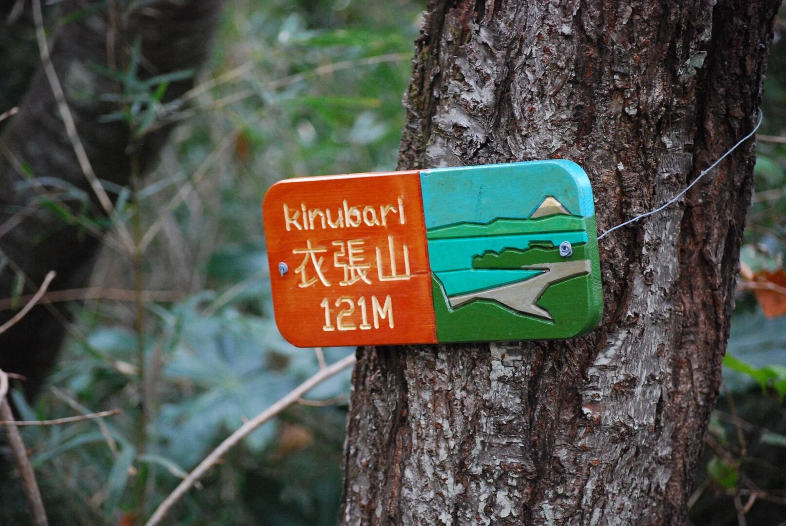 DAISY POP UPと衣張山 / midoriさんの鎌倉アルプス（大平山・天台山）の活動データ | YAMAP / ヤマップ