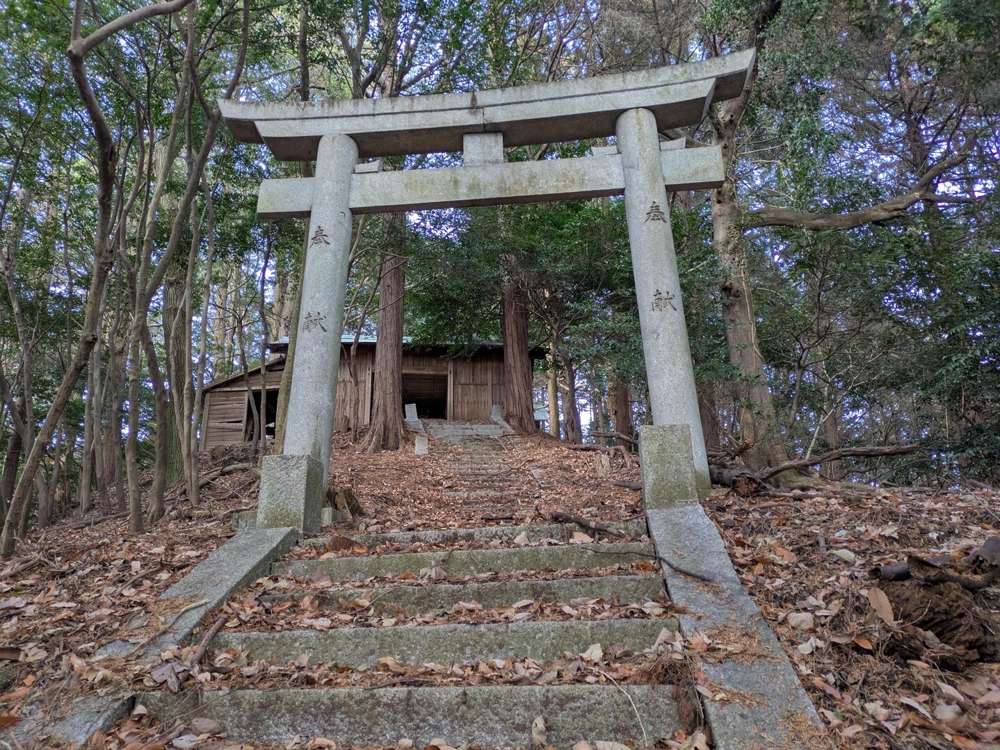 大黒山 小さな冒険 / yu−yuさんの竜門山の活動データ | YAMAP / ヤマップ