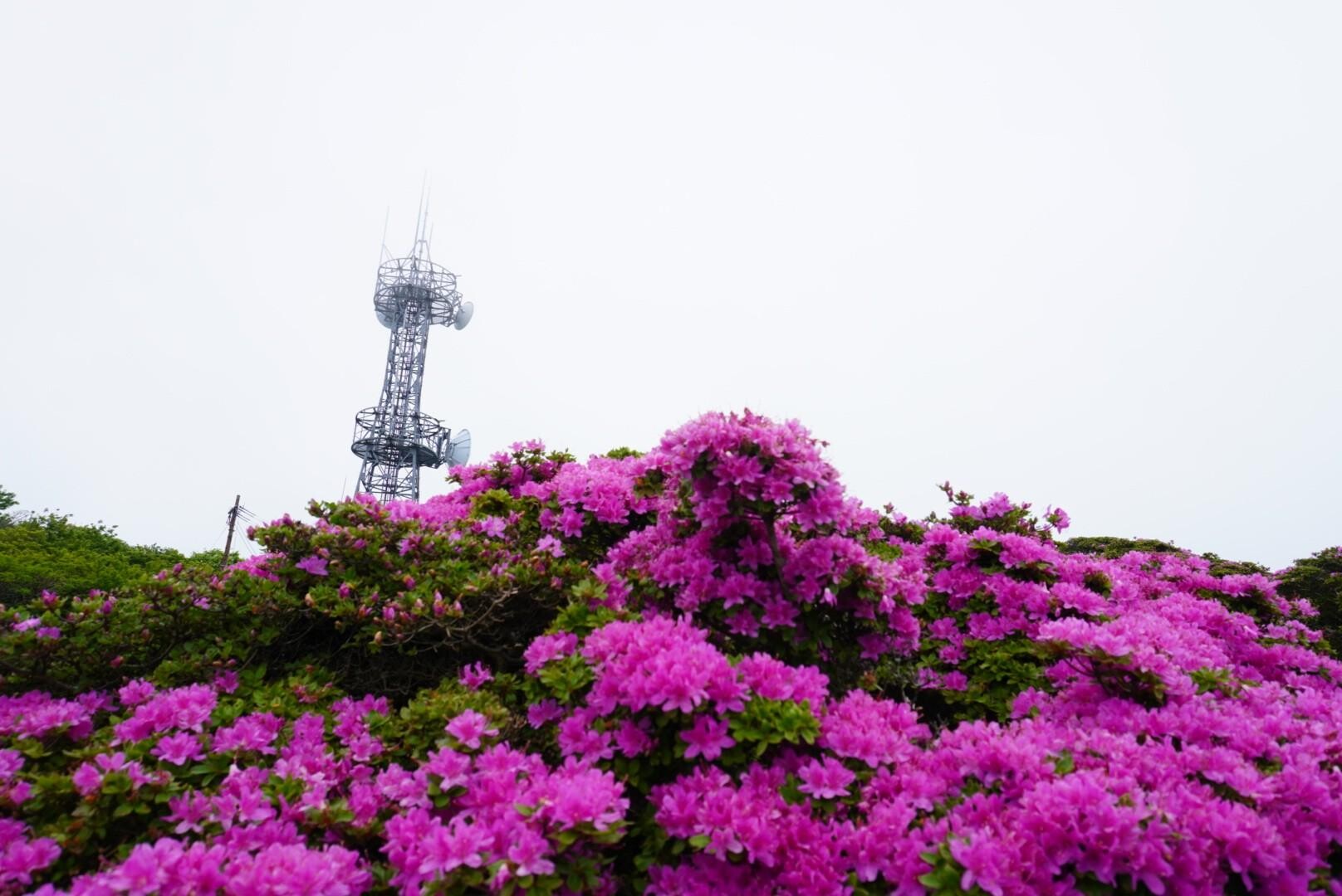 南平台・鶴見岳 / natyuさんの由布岳・鶴見岳の活動データ | YAMAP / ヤマップ