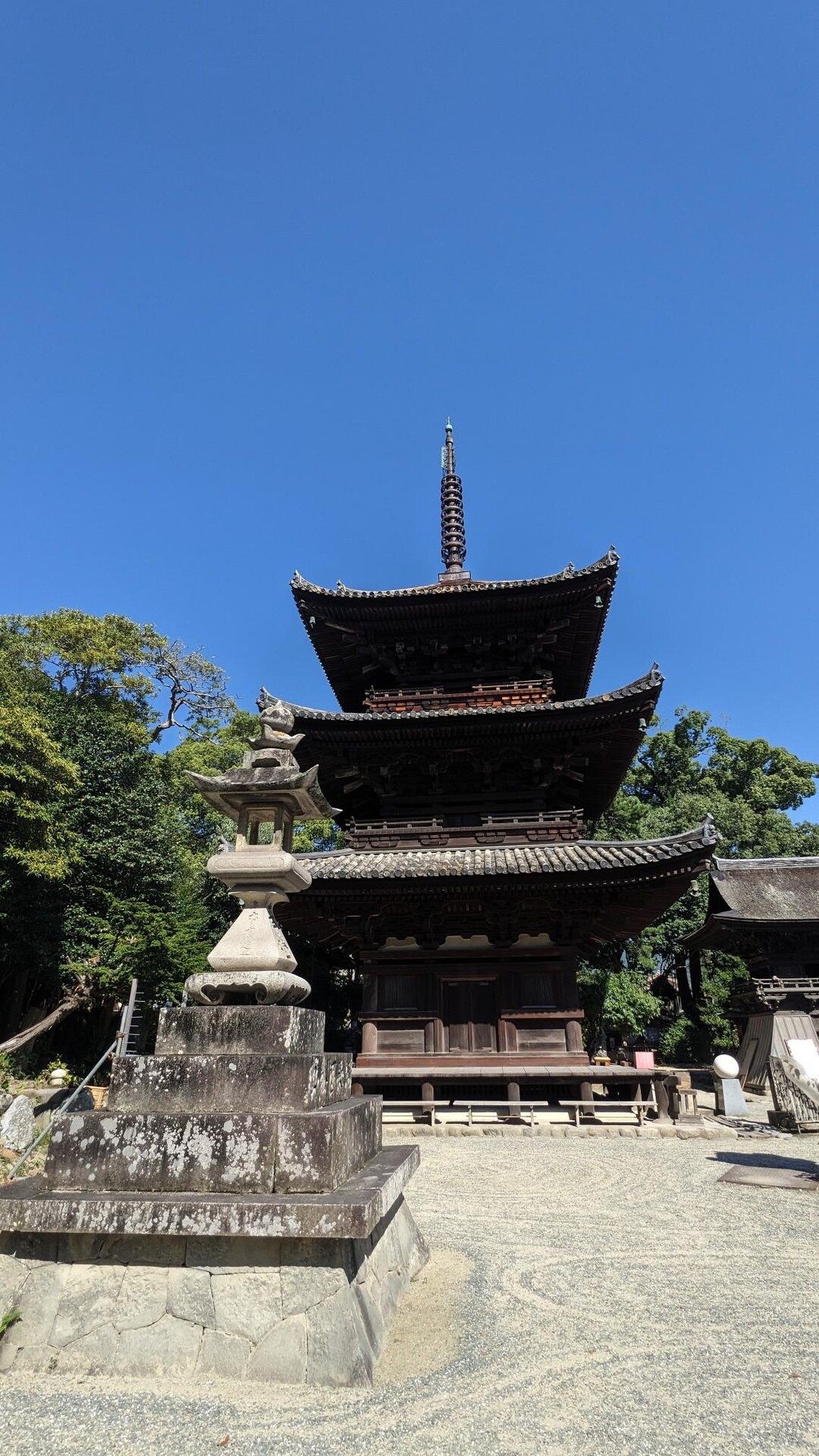 愛宕山10常光寺山11 / LEMON🍋さんの淡路ヶ峠・芝ヶ峠・倉谷山の活動データ | YAMAP / ヤマップ