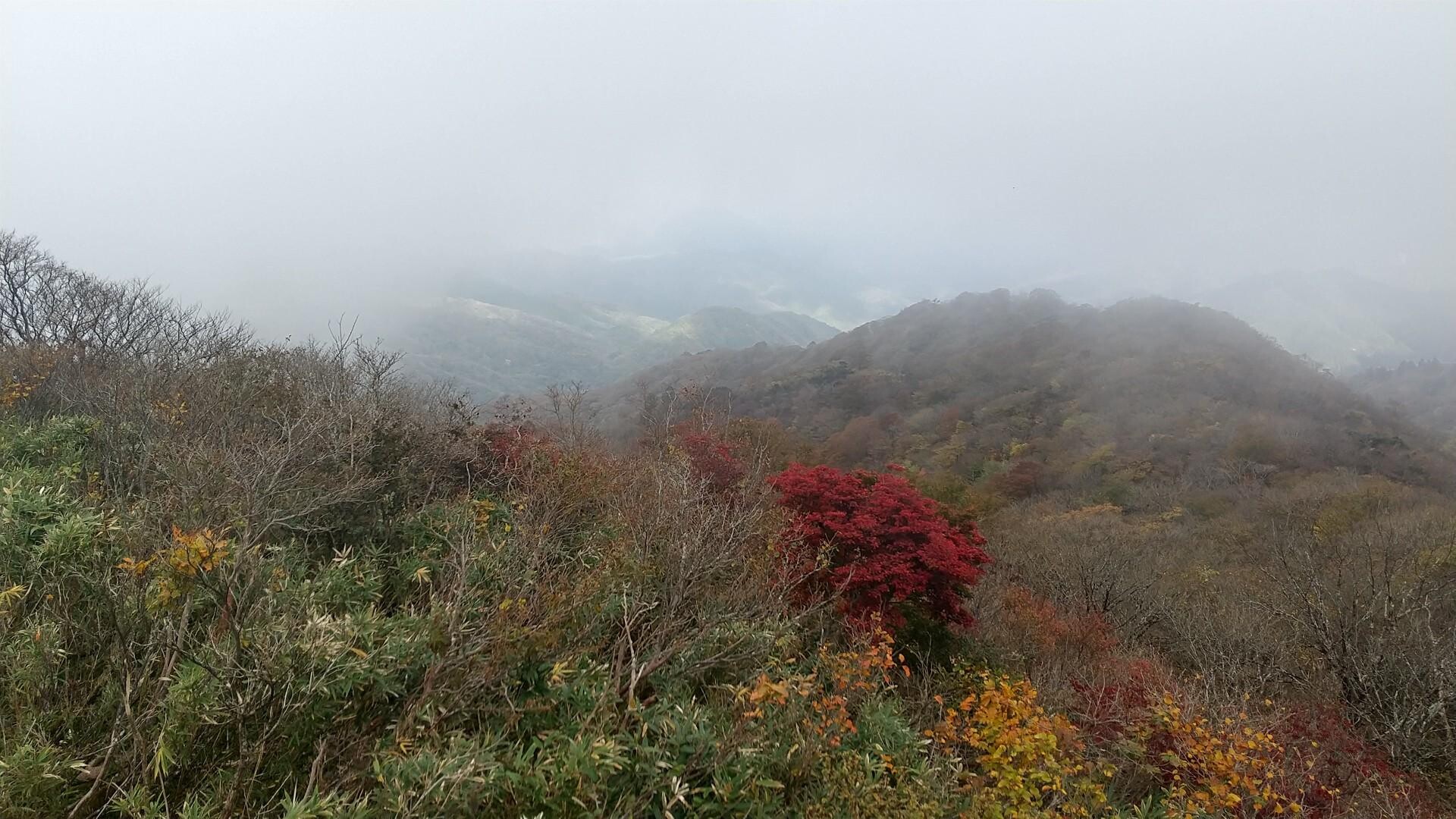 小貝月山・貝月山 / X808さんの貝月山の活動データ | YAMAP / ヤマップ