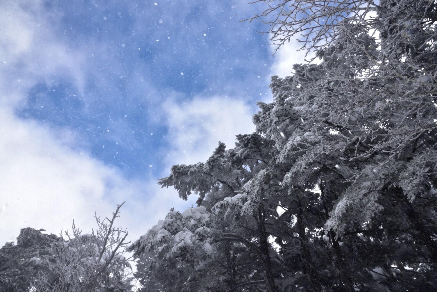 冬に逆戻り 山上ヶ岳 / ⛅Nori-jiさんの登山の活動データ | YAMAP / ヤマップ
