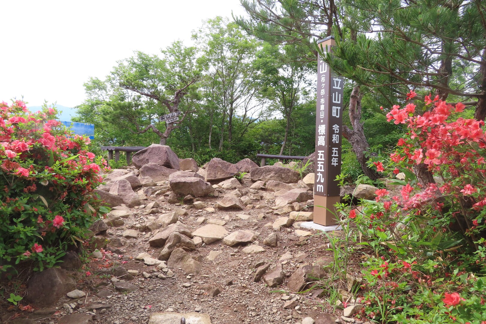 尖山-2024-06-06本道m2‐本道m / Tona.Yamahasi.E.Sanpoさんの尖山の活動日記 | YAMAP / ヤマップ