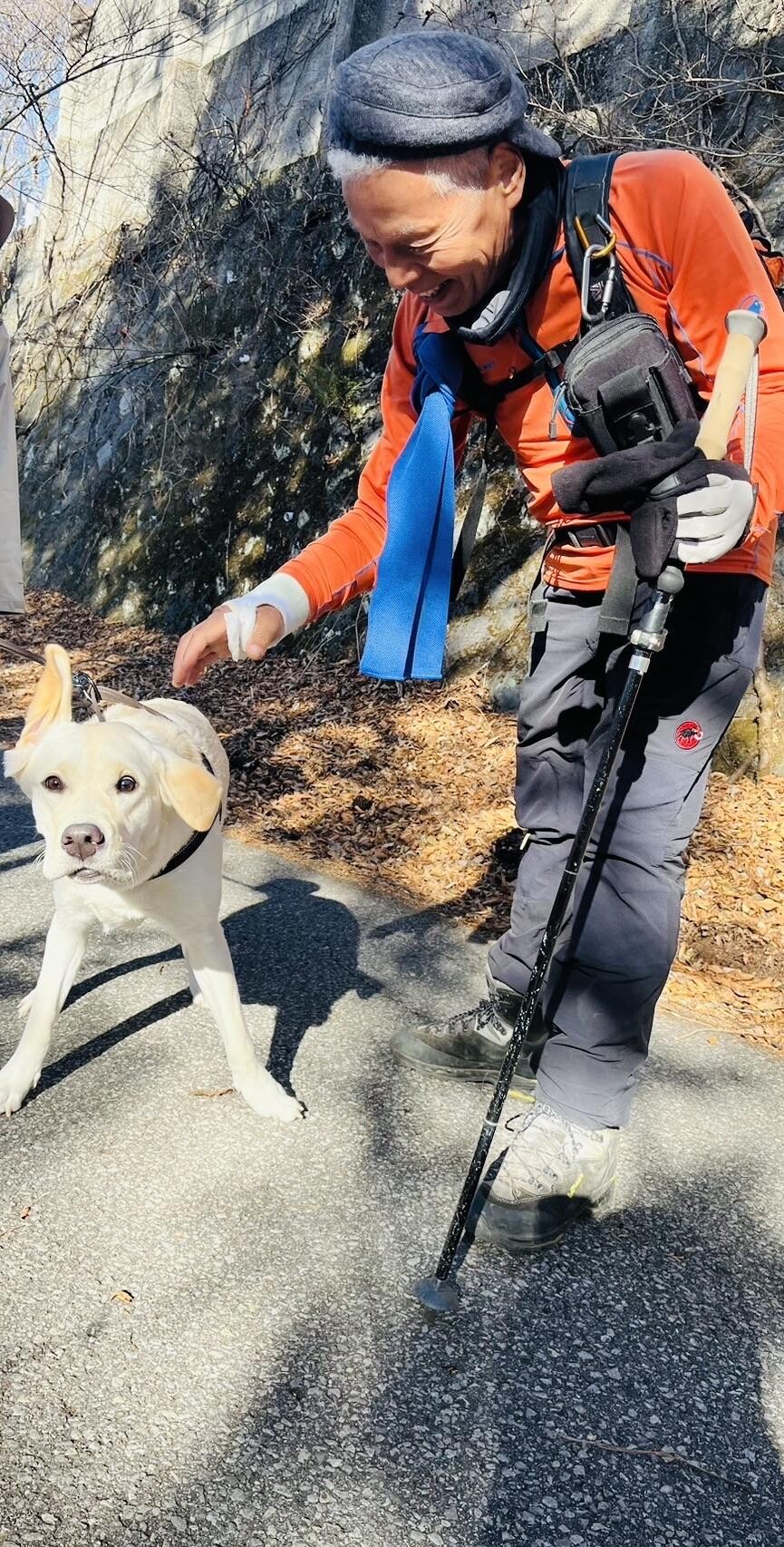 暖かな ️社山⛰️ / ｺﾖｩﾃ(coyote)さんの男体山の活動日記 | YAMAP / ヤマップ
