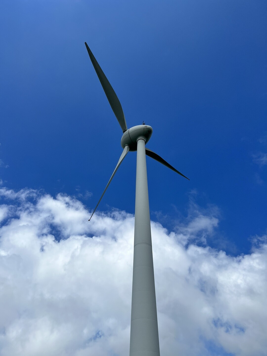 天狗棚・碁盤石山 / yoshi_gさんの天狗棚・1200高地（天狗ノ奥山）・碁盤石山の活動データ | YAMAP / ヤマップ