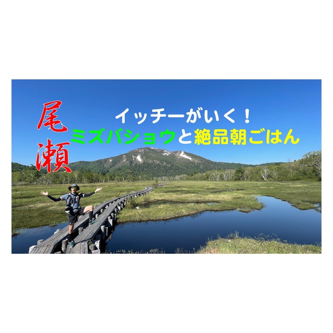 【2021尾瀬ミズバショウ😍】 今年は... / イッチー☆GFチャンネルさんのモーメント | YAMAP / ヤマップ