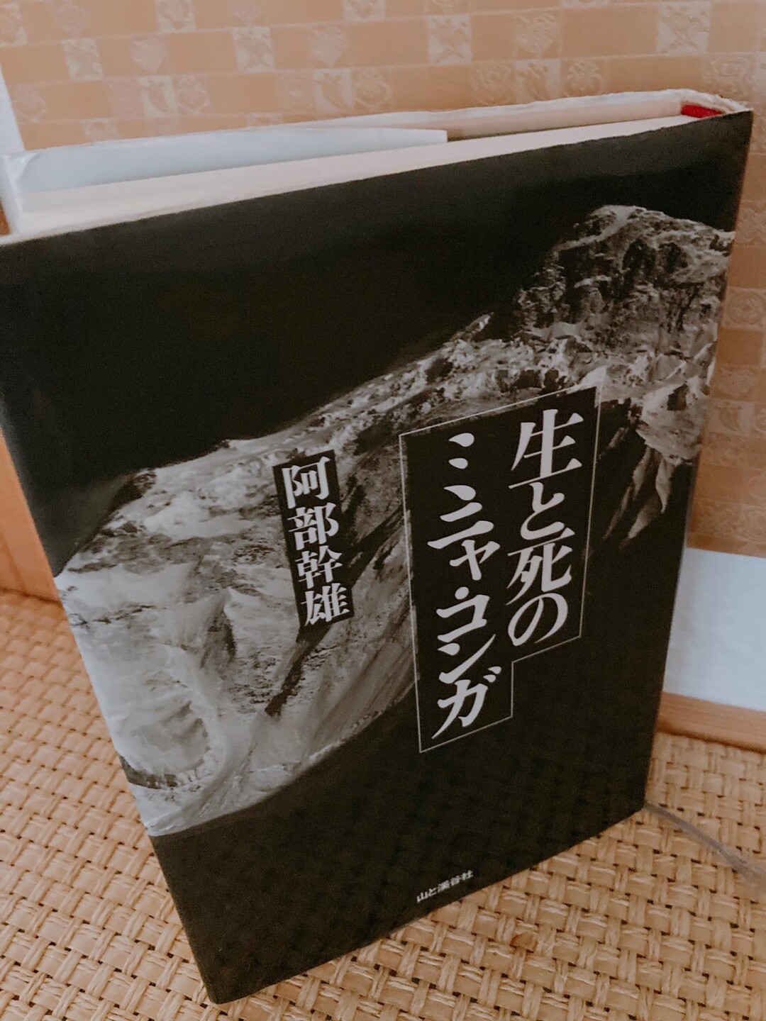 2022.11.6 今日は朝から雨降り... / junko(☝ ՞ਊ ՞)☝CKBさんのモーメント | YAMAP / ヤマップ