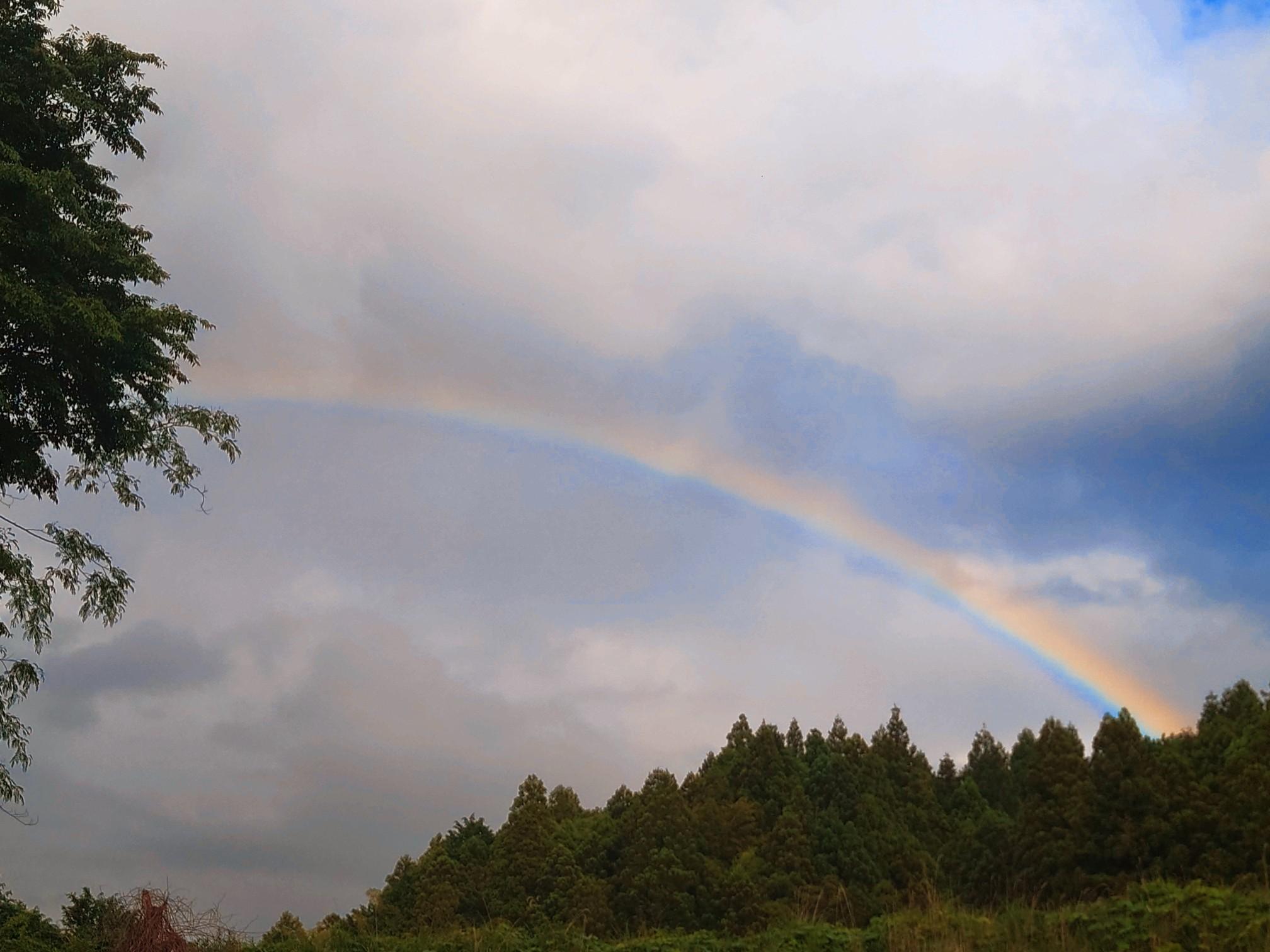 今日は留守番だったので山に行けず 途中... / tomo⚓さんのモーメント | YAMAP / ヤマップ