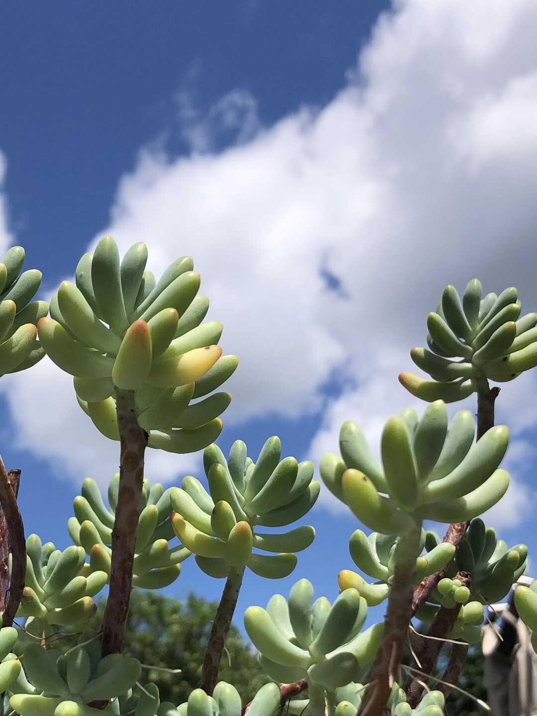 風が少し涼しくなってきましたね(*ˊᵕˋ... / ここ丸さんのモーメント | YAMAP / ヤマップ