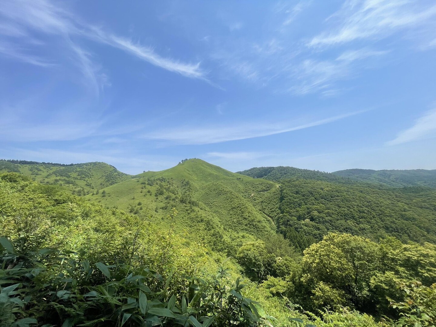 雲月山 ひろしま北里山キングP3 / みー。さんの雲月山・大潰山・大佐山の活動データ | YAMAP / ヤマップ