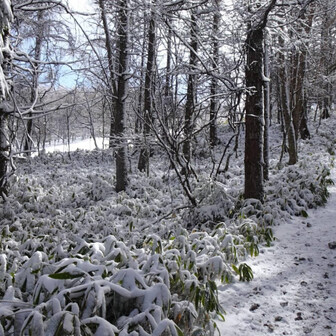 Katsu31のページ | YAMAP / ヤマップ