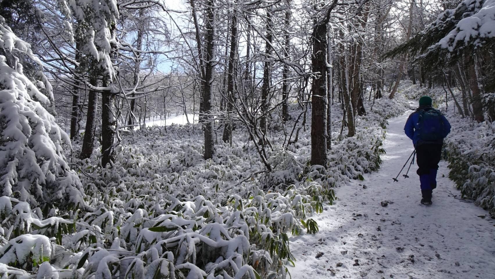 Katsu31のページ | YAMAP / ヤマップ