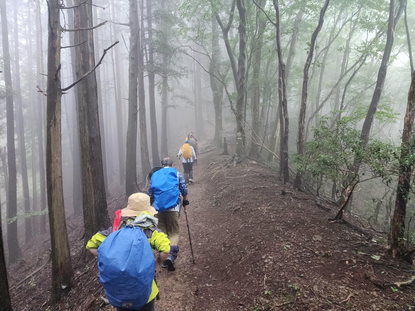 2020's 伊豆ヶ岳R6.7.16 / osamuxJJさんの武甲山・伊豆ヶ岳・小持山の活動データ | YAMAP / ヤマップ