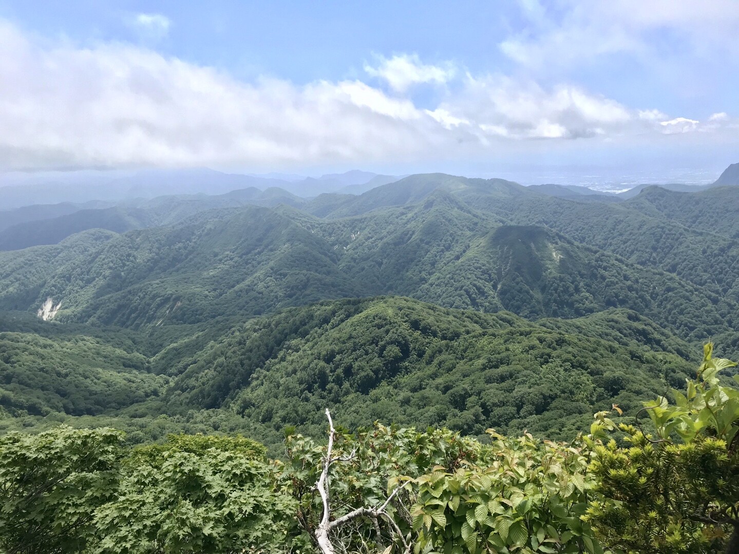 粟畑・船形山(御所山)〜観音寺ルートピストン / R.ANDOさんの船形山（御所山）・泉ヶ岳・蛇ヶ岳の活動データ | YAMAP / ヤマップ