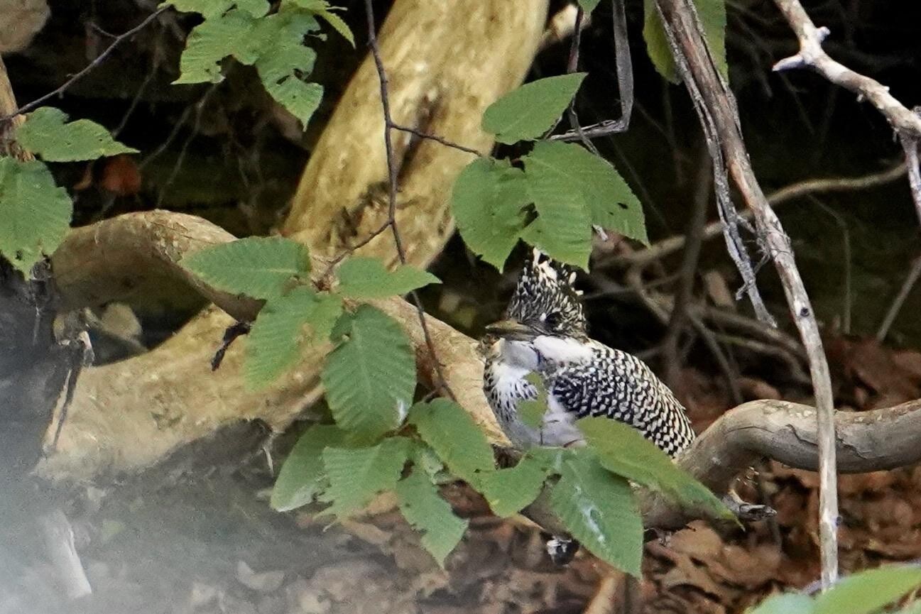 2023.06.19(月)〜6月24日(... / yosi＆ryoさんのモーメント | YAMAP / ヤマップ