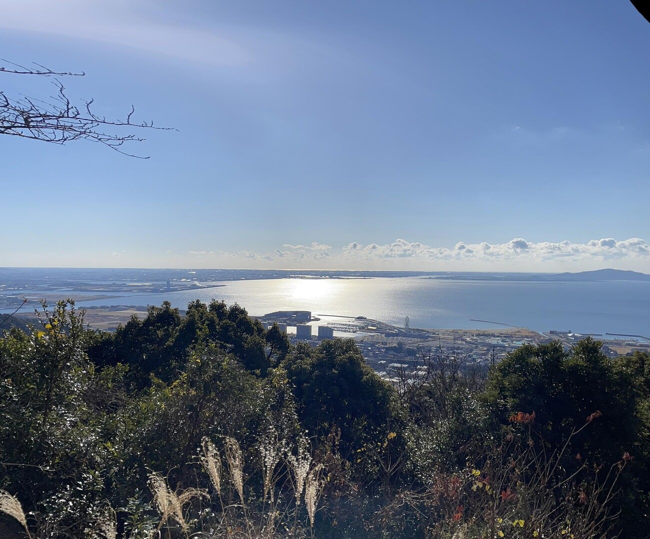 乃木山・弘法山・原山・砥神山・マラ山・御堂山 / rumiさんの五井山・宮路山・御堂山の活動データ | YAMAP / ヤマップ