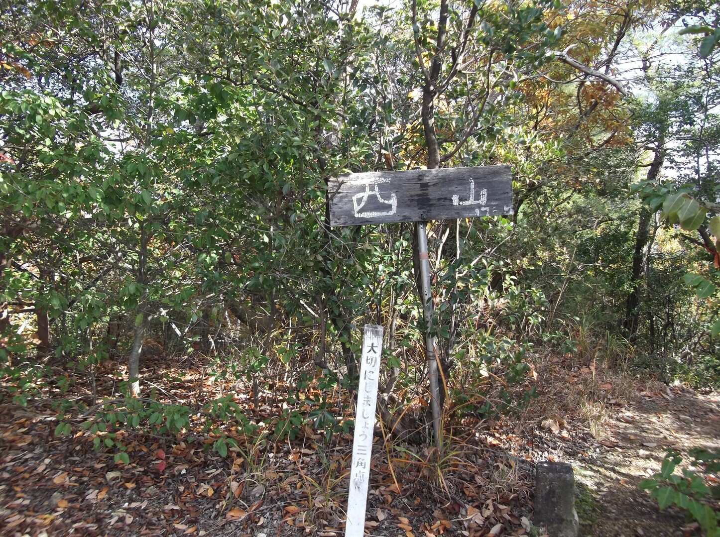 西山 / Kakkoさんの金華山・洞山・舟伏山の活動データ | YAMAP / ヤマップ