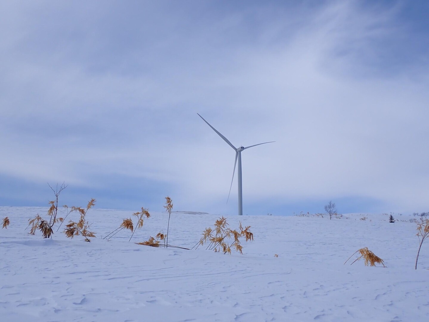 竹山 / moon-riverさんの尻別岳の活動データ | YAMAP / ヤマップ
