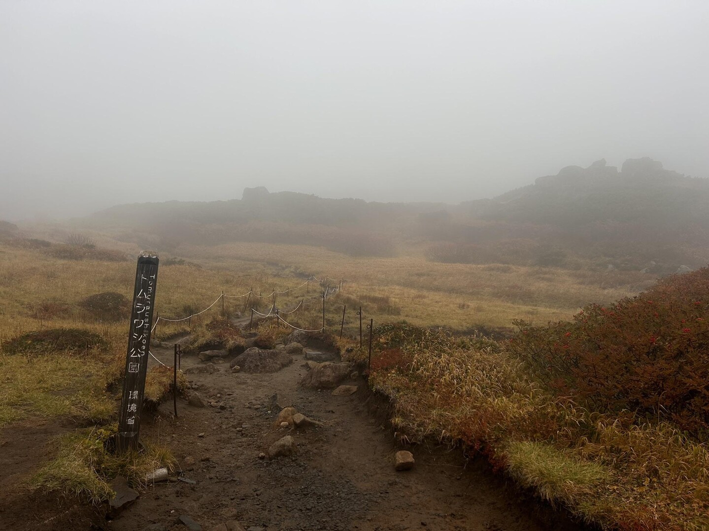 風速20m⁉️トムラウシ山 / になさんのGT3 2の活動データ | YAMAP / ヤマップ