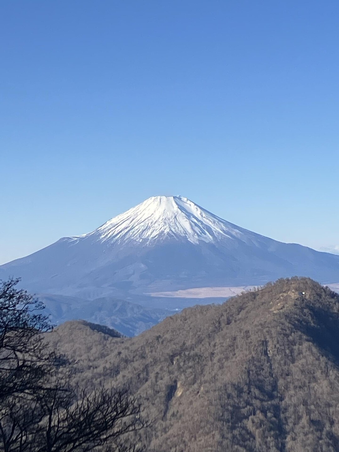 姫次・蛭ヶ岳 / satoshiさんの塔ノ岳・丹沢山・蛭ヶ岳の活動データ | YAMAP / ヤマップ
