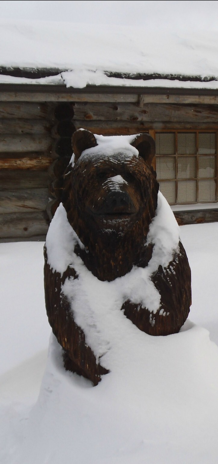 chieのページ | YAMAP / ヤマップ