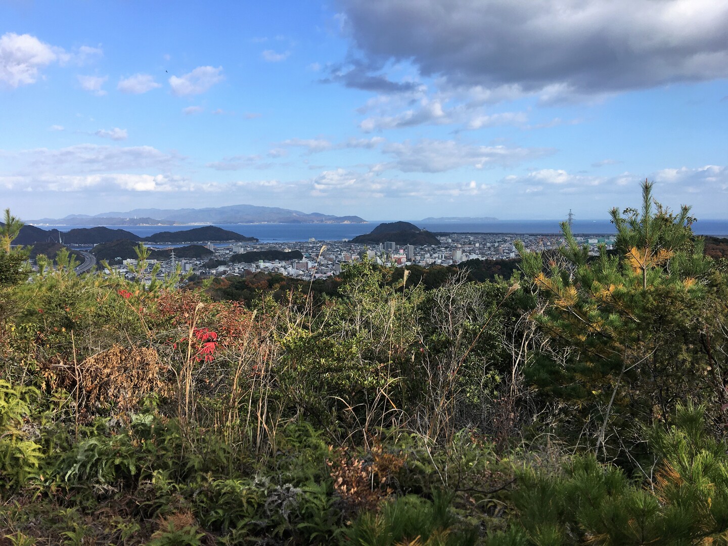 棒杭山(鳴門)ウォーキング part3 ～棒杭山から西へ西へ～ / Herodom(ヒロダム)さんの鳴門市の活動データ | YAMAP / ヤマップ