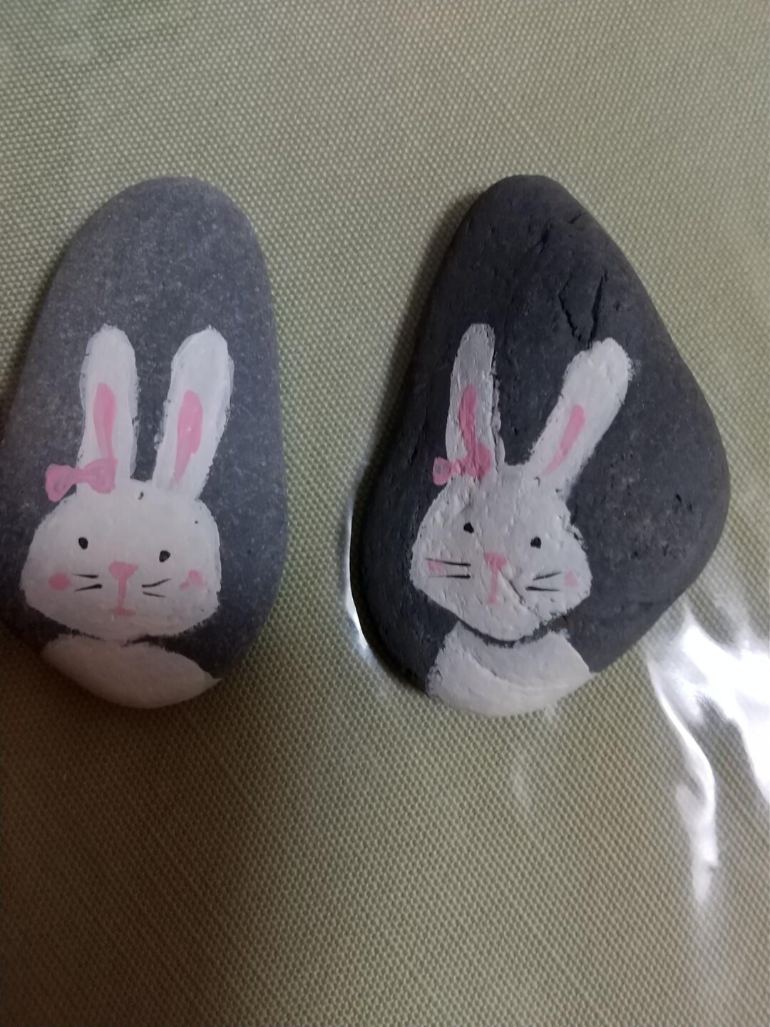 明日は宝塚にあるうさぎ山🐰へ。 今年の... / SORA🐇さんのモーメント | YAMAP / ヤマップ