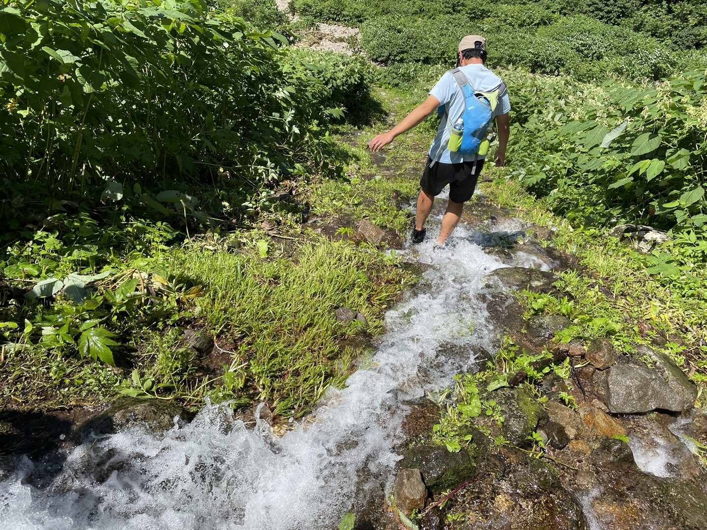 zumiさんの投稿したフィールドメモ | YAMAP / ヤマップ