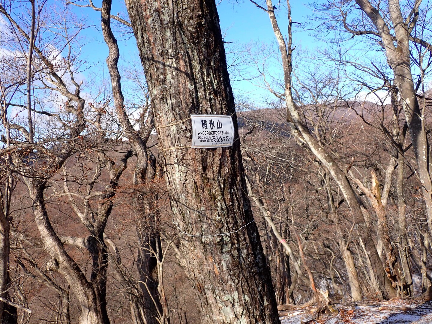 碓氷山 / yudoburiさんの鼻曲山・氷妻山・留夫山の活動データ | YAMAP / ヤマップ