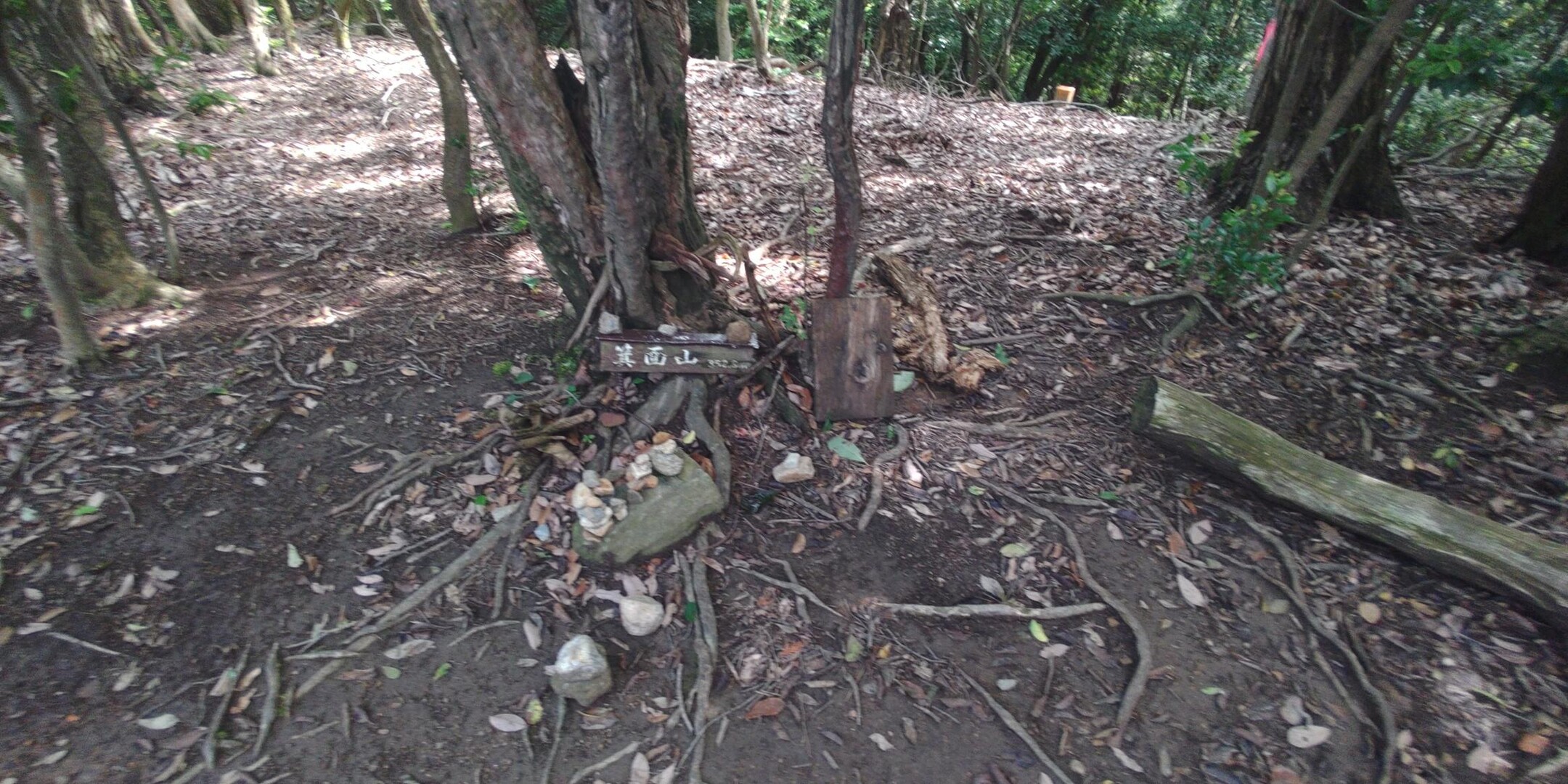 六個山・箕面山 / moroさんの六個山・鉢伏山・明ヶ田尾山・五月山の活動データ | YAMAP / ヤマップ