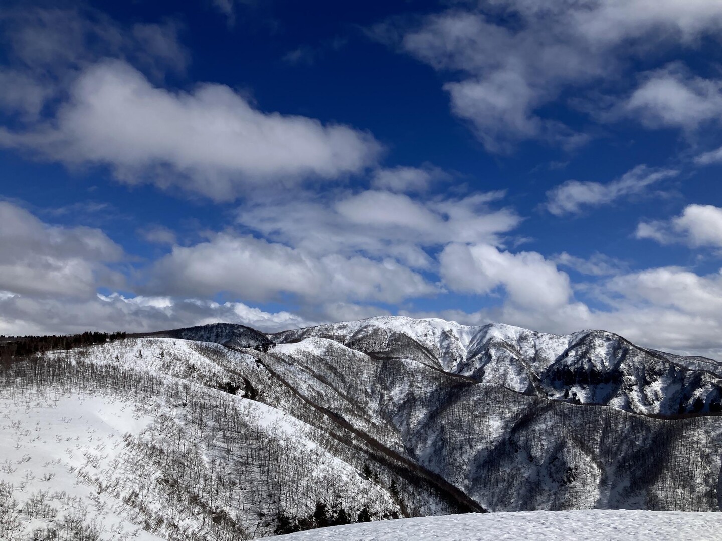 大長山٩( 'ω' )و ‼️ ～part 2～ / むんどさんの取立山の活動データ | YAMAP / ヤマップ