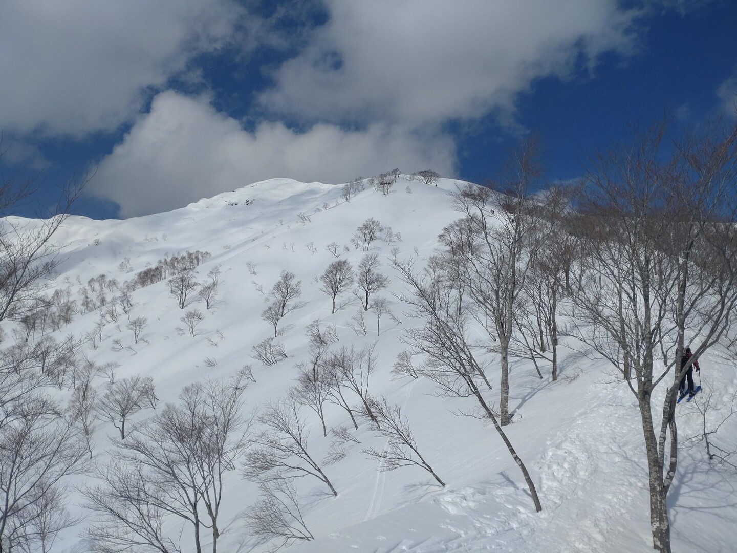 野伏ヶ岳 / hsysさんの野伏ヶ岳の活動データ | YAMAP / ヤマップ