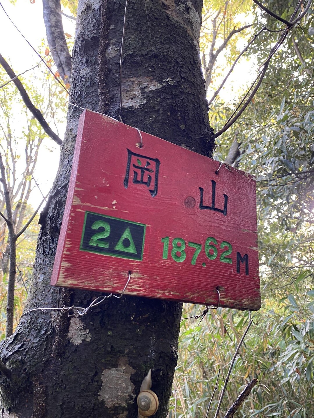 岡山 / たかちゃんさんのスタンドアップパドル(SUP)の活動データ | YAMAP / ヤマップ