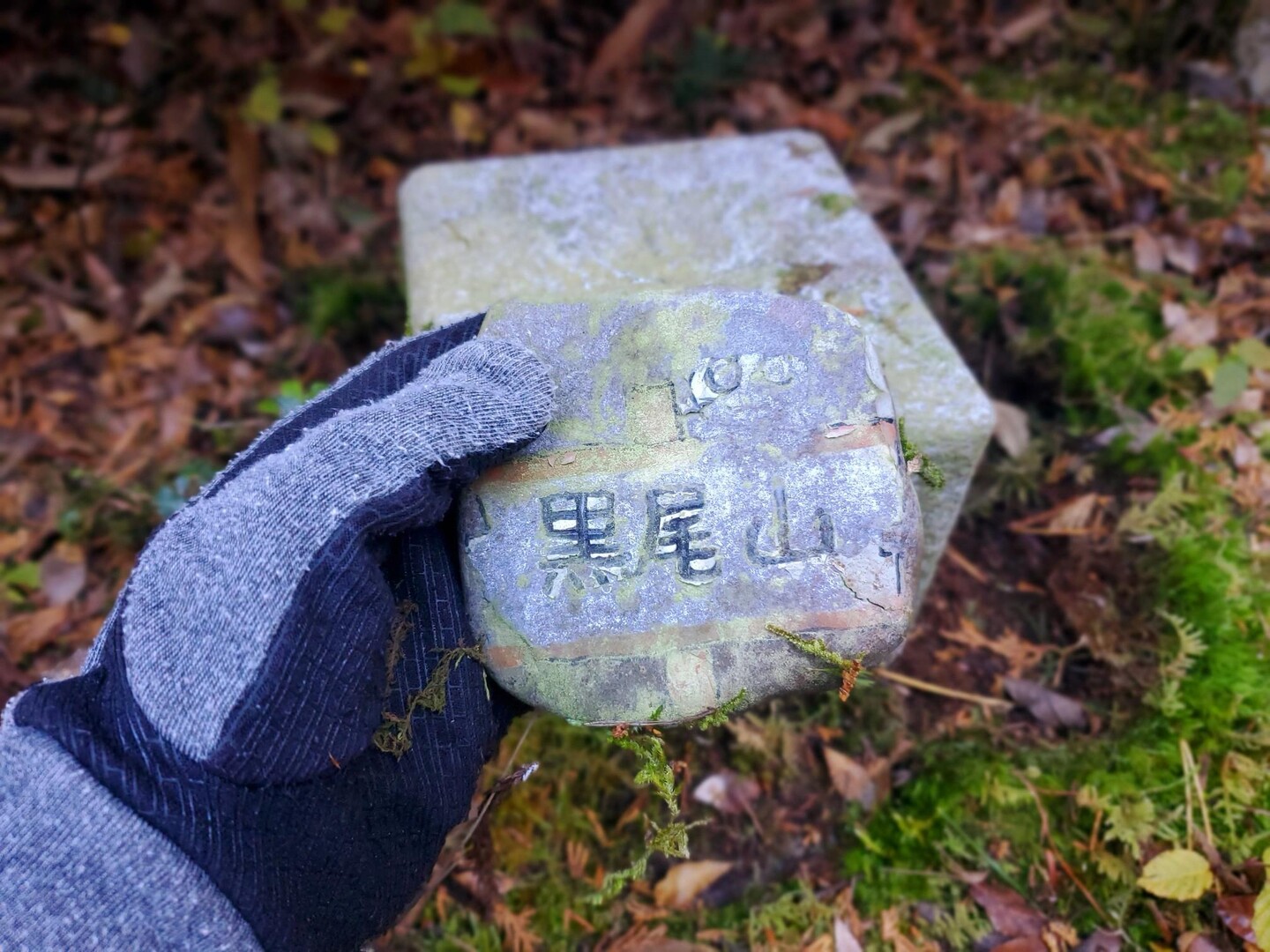 黒尾山(鈴鹿48/50座)一番怖かった山 / 🍒sa-ki🍒さんの日本コバの活動データ | YAMAP / ヤマップ