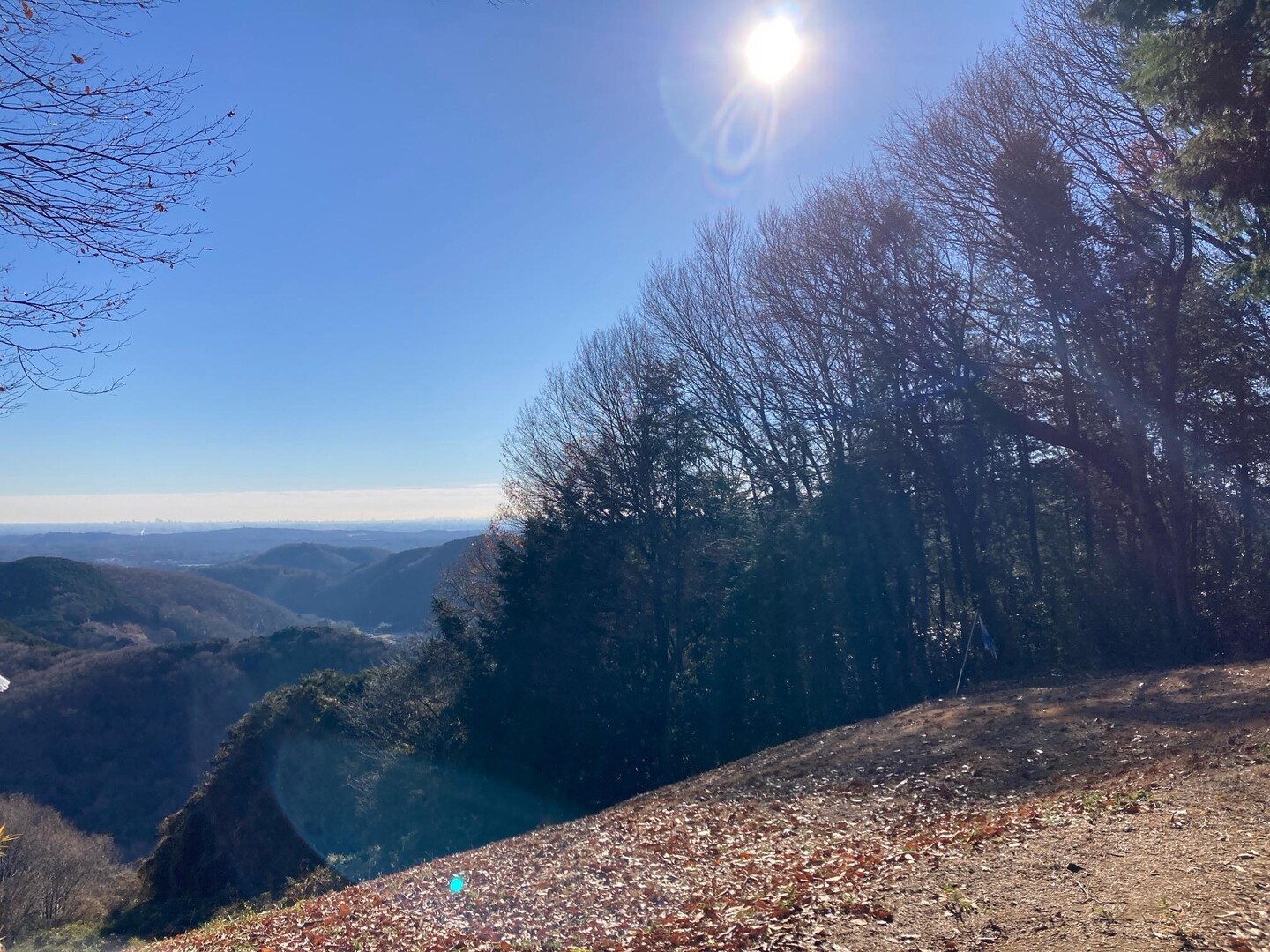 仙元山#216〜朝散歩で電波調査⁉️ / taoさんの武蔵嵐山・大平山・仙元山の活動データ | YAMAP / ヤマップ